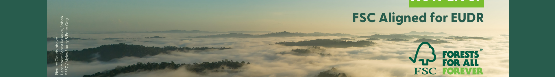 FSC Aligned Certification for EUDR and system-wide changes now live | Forest Stewardship Council